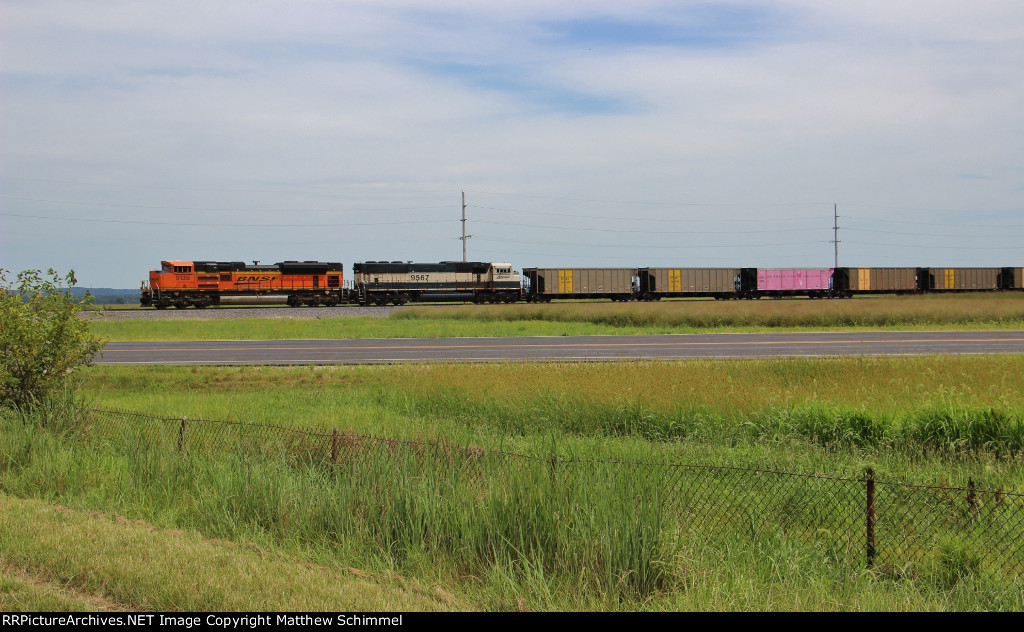 A Little Color On A Beautiful Day